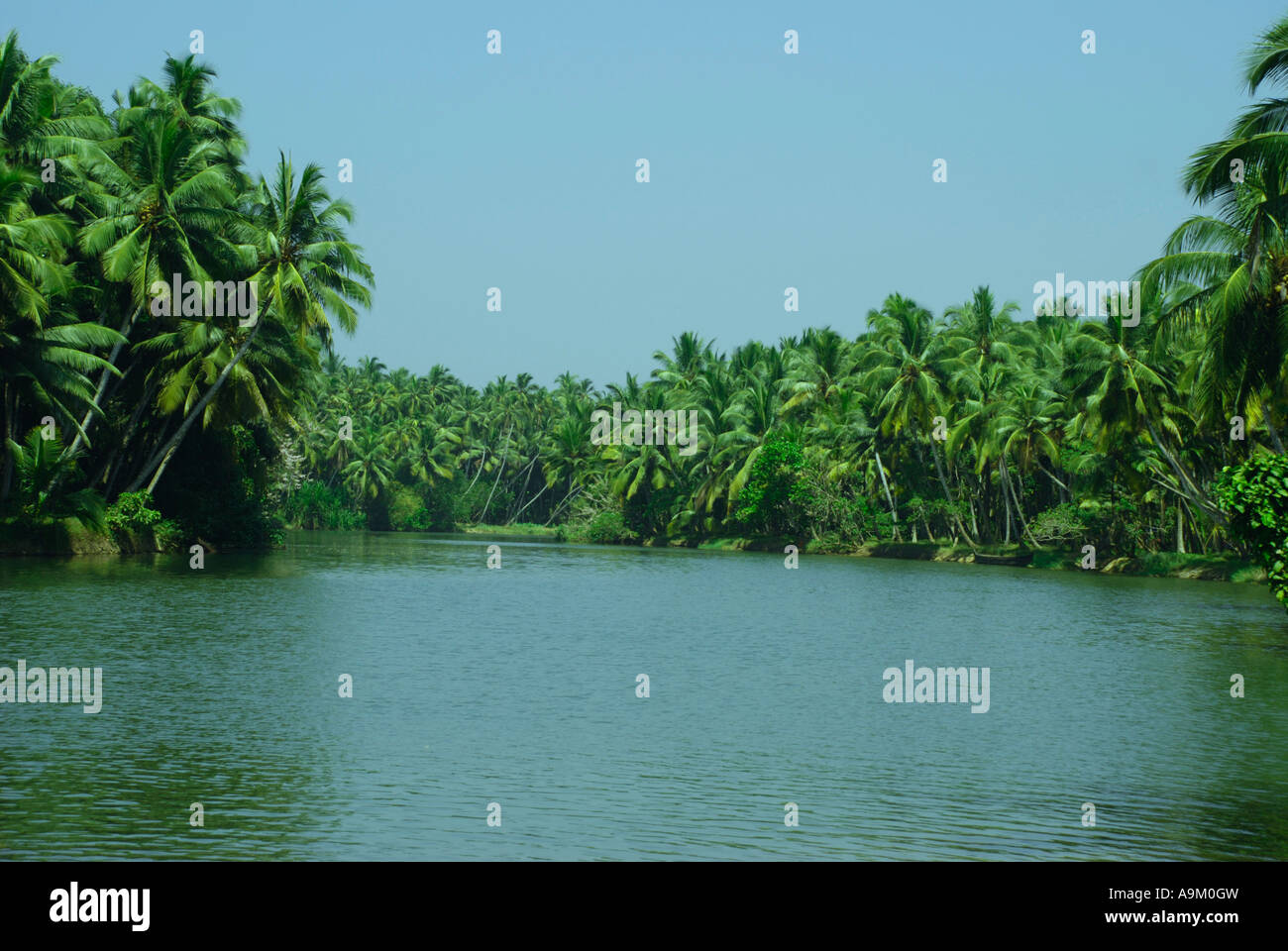 Landscape of bakwater in vellayani kerala Stock Photo - Alamy