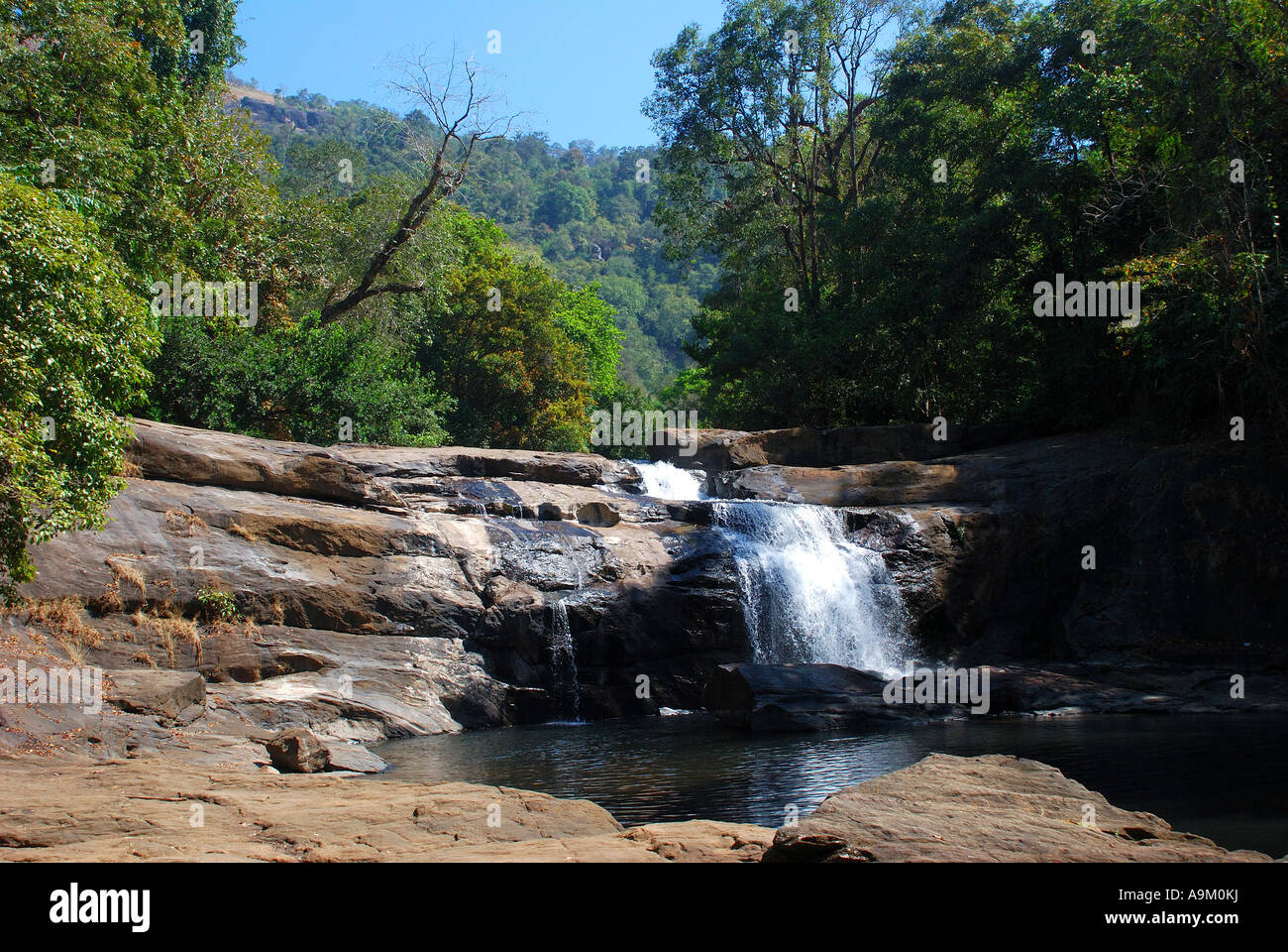 Landscape in Thommankuthu River idukki forest kerala Stock Photo - Alamy