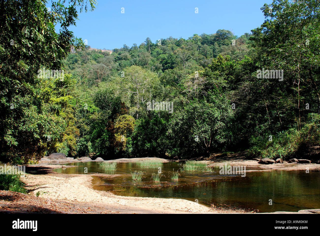 Landscape in Thommankuthu river kerala Idukki Stock Photo - Alamy