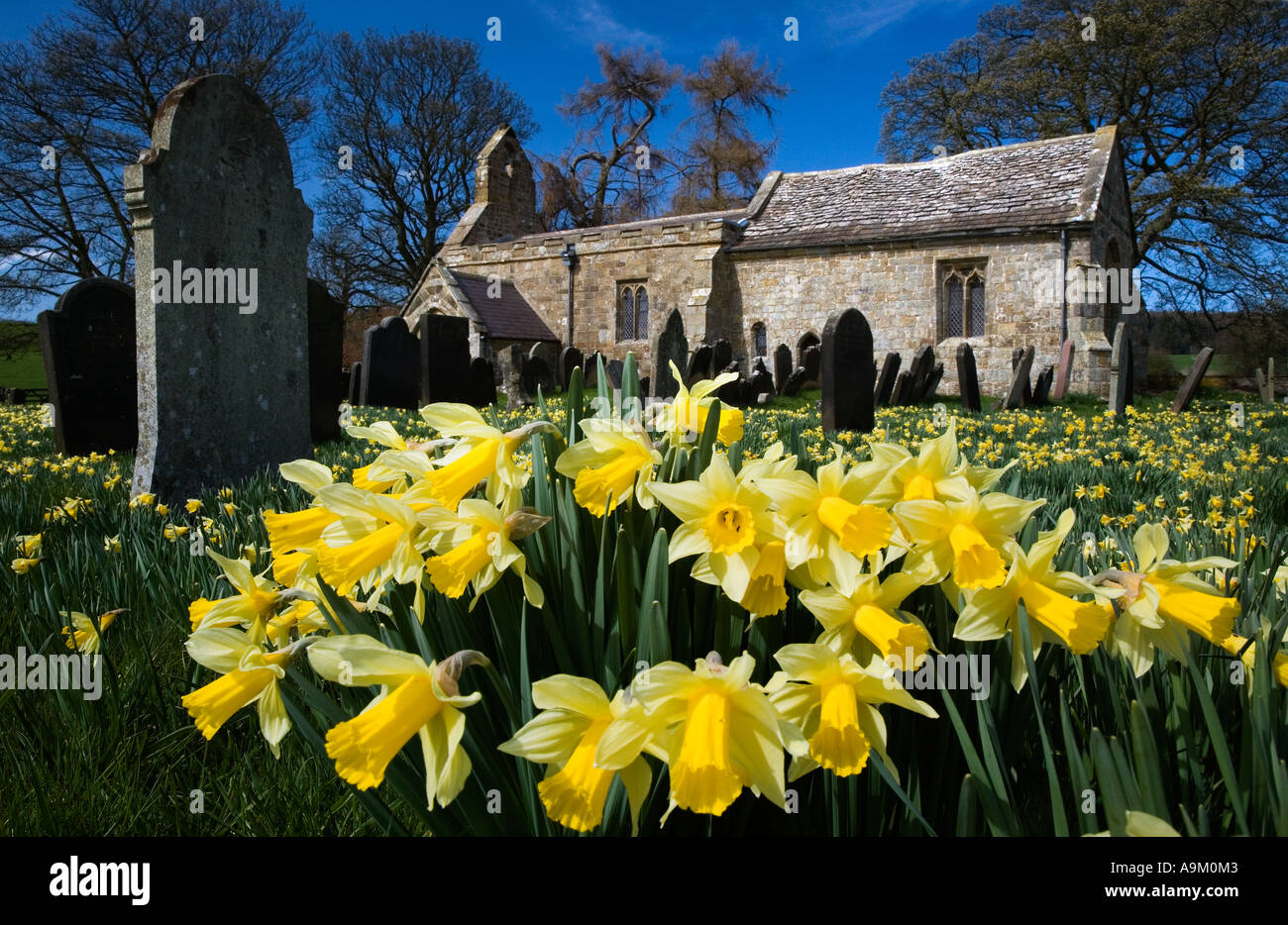 St Mary s Norman Church Over Silton near Thirsk North Yorkshire England ...