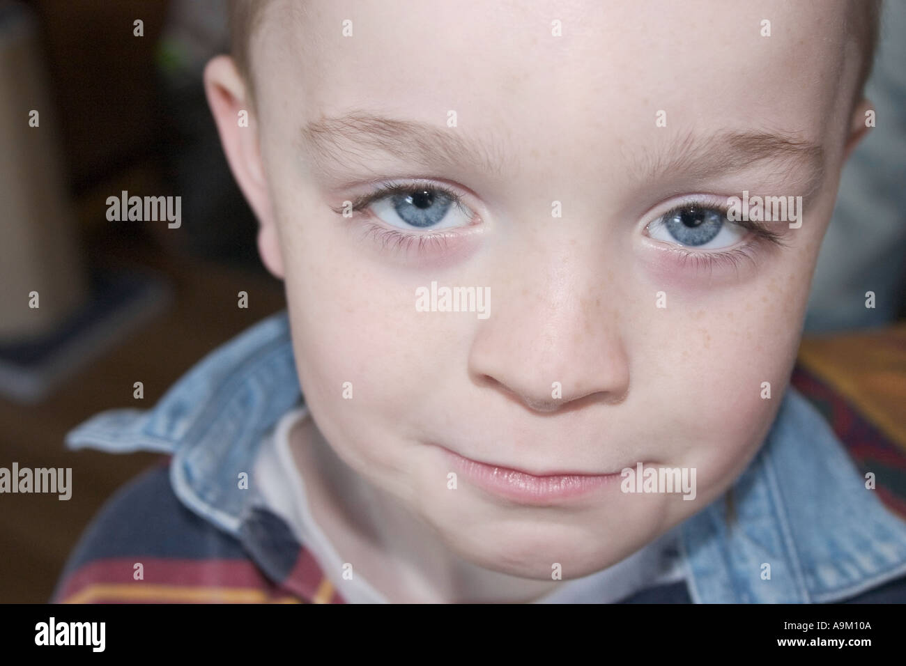 Boy age 7 close up portrait Stock Photo - Alamy