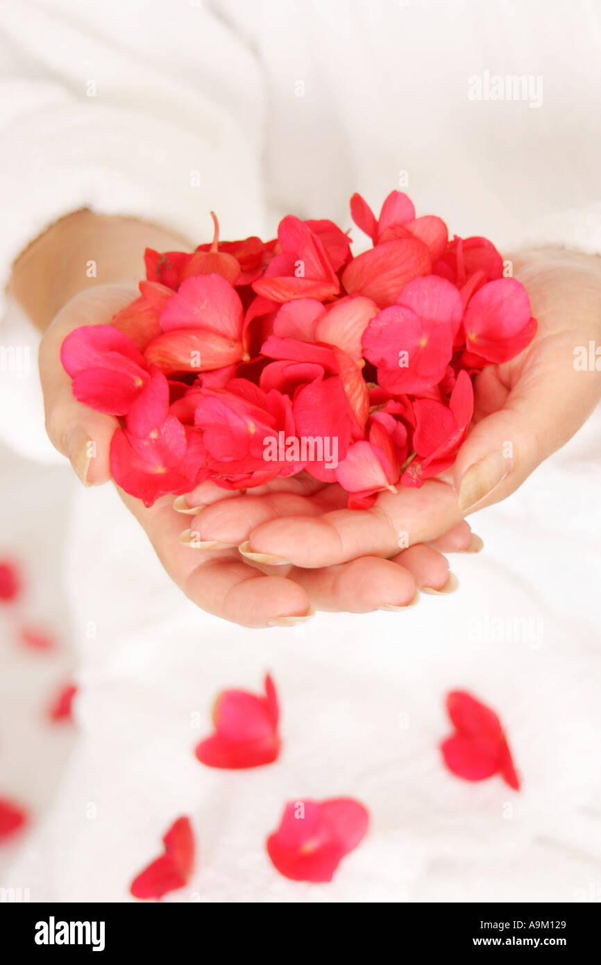 Petals falling hand hi-res stock photography and images - Alamy