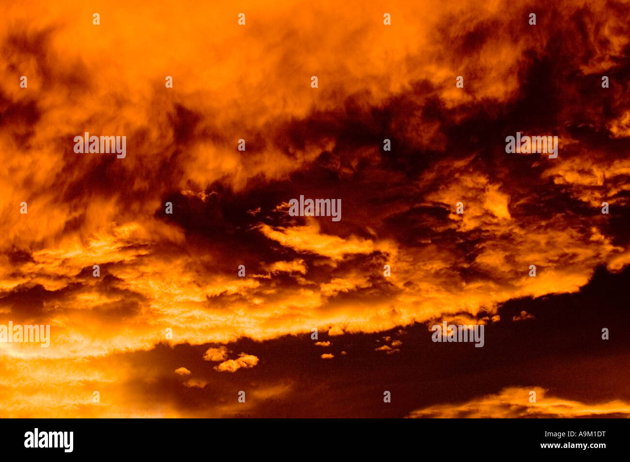 clouds at sunset with intense color Stock Photo - Alamy