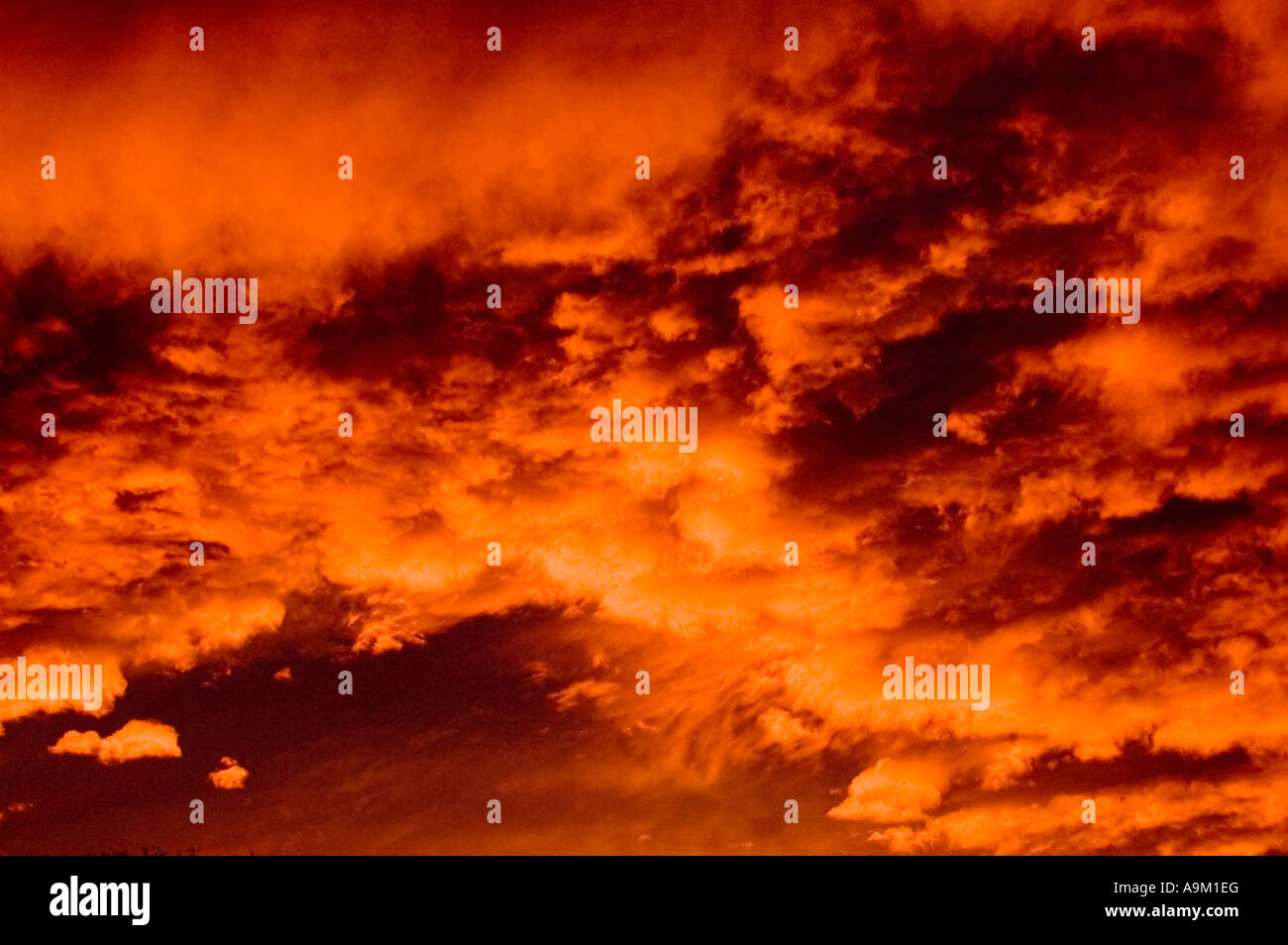 clouds at sunset with intense color Stock Photo - Alamy