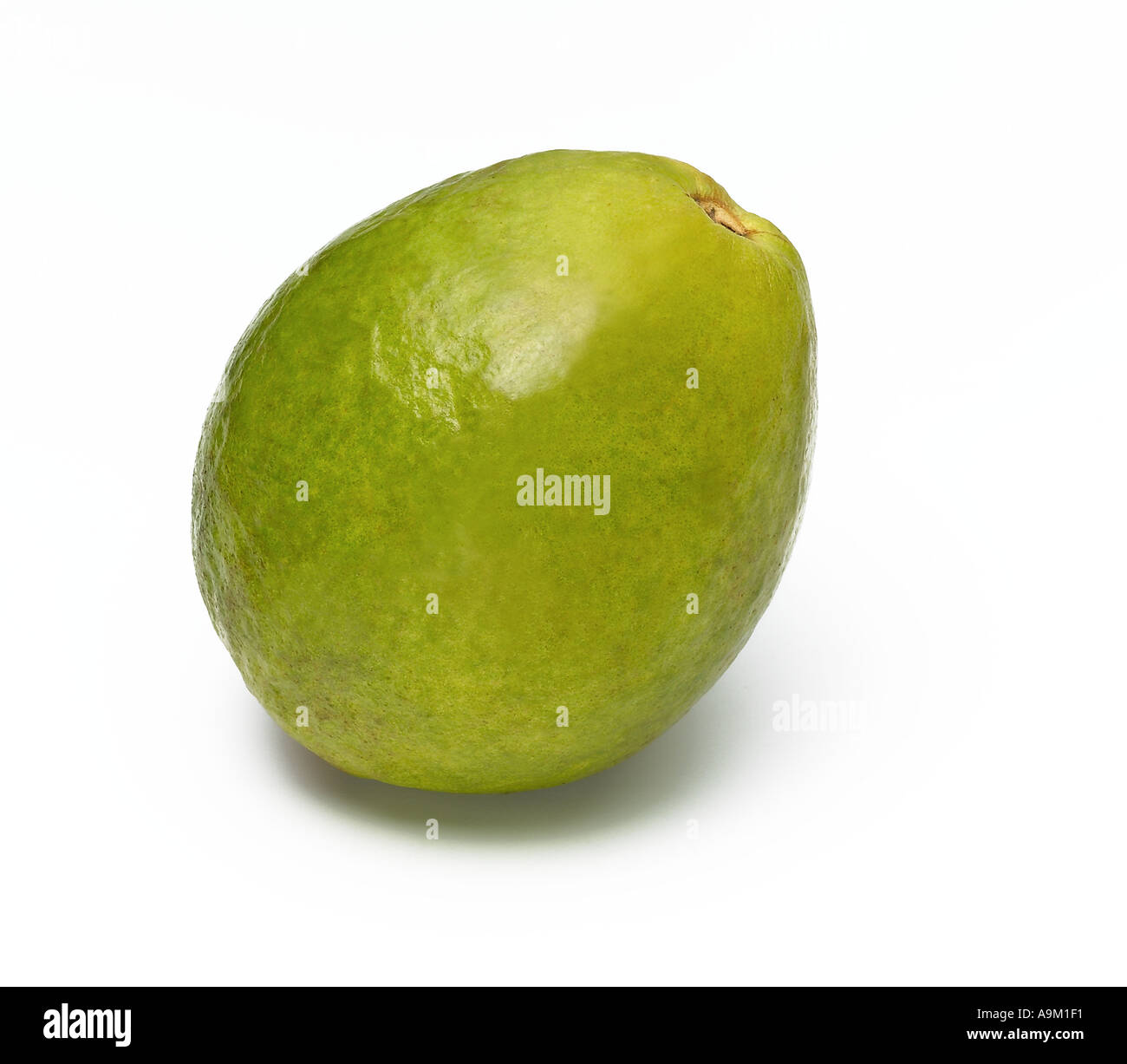 Apple guavas Cut Out Stock Images & Pictures - Alamy