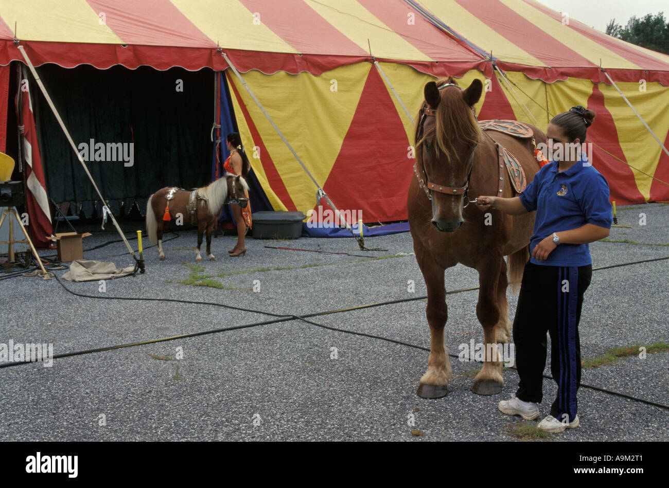 Walker Bros. Brothers Circus American US United States Stock Photo - Alamy
