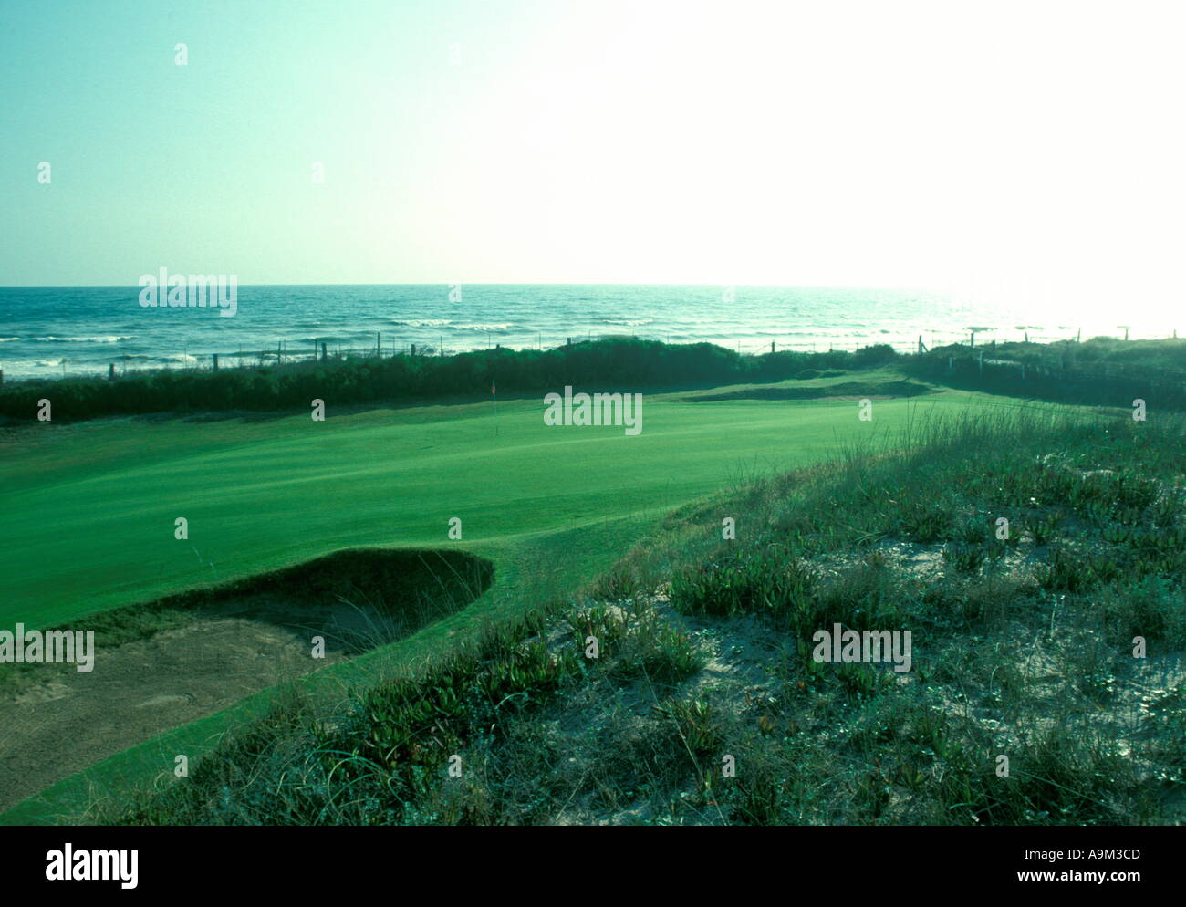 El Saler Golf Club Valencia Spain 8th Hole Stock Photo - Alamy