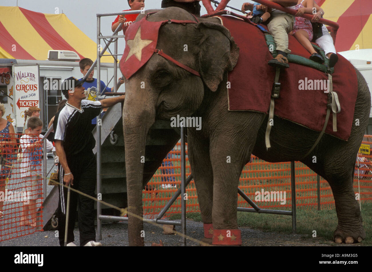 Walker Bros. Brothers Circus asian elephant pachyderm ride riding Stock ...