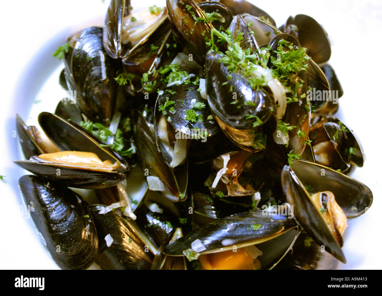 Moule hi-res stock photography and images - Alamy