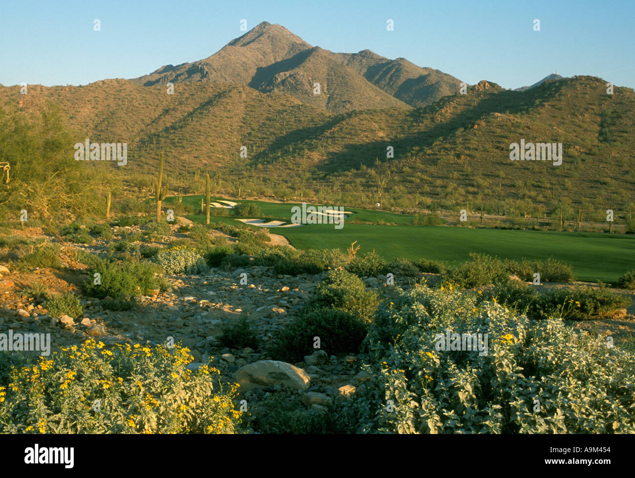 Silverleaf Golf Course Scottsdale Arizona USA America 14th Hole Stock ...