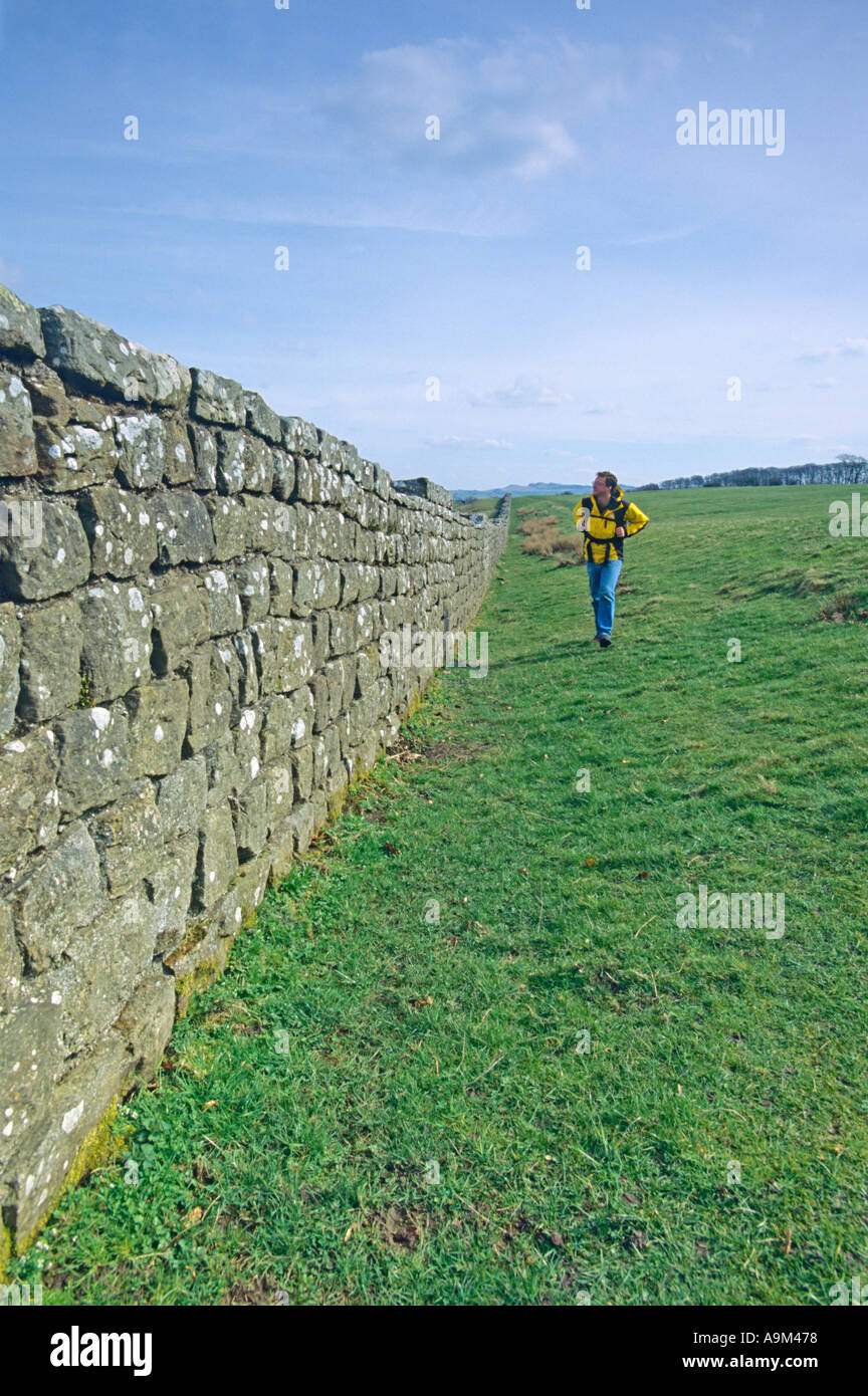 Walker beside Hadrians Wall southern Scotland northern England Stock ...