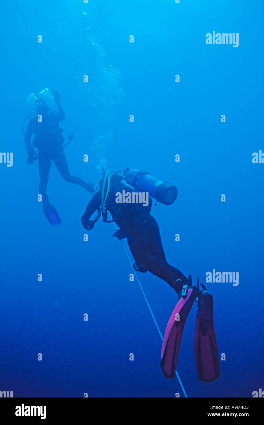 Divers on ascent line pink fins diagonal leading line Stock Photo - Alamy