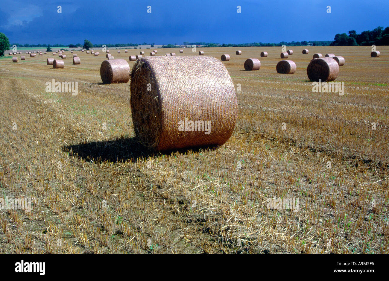 East anglian countryside hi-res stock photography and images - Alamy