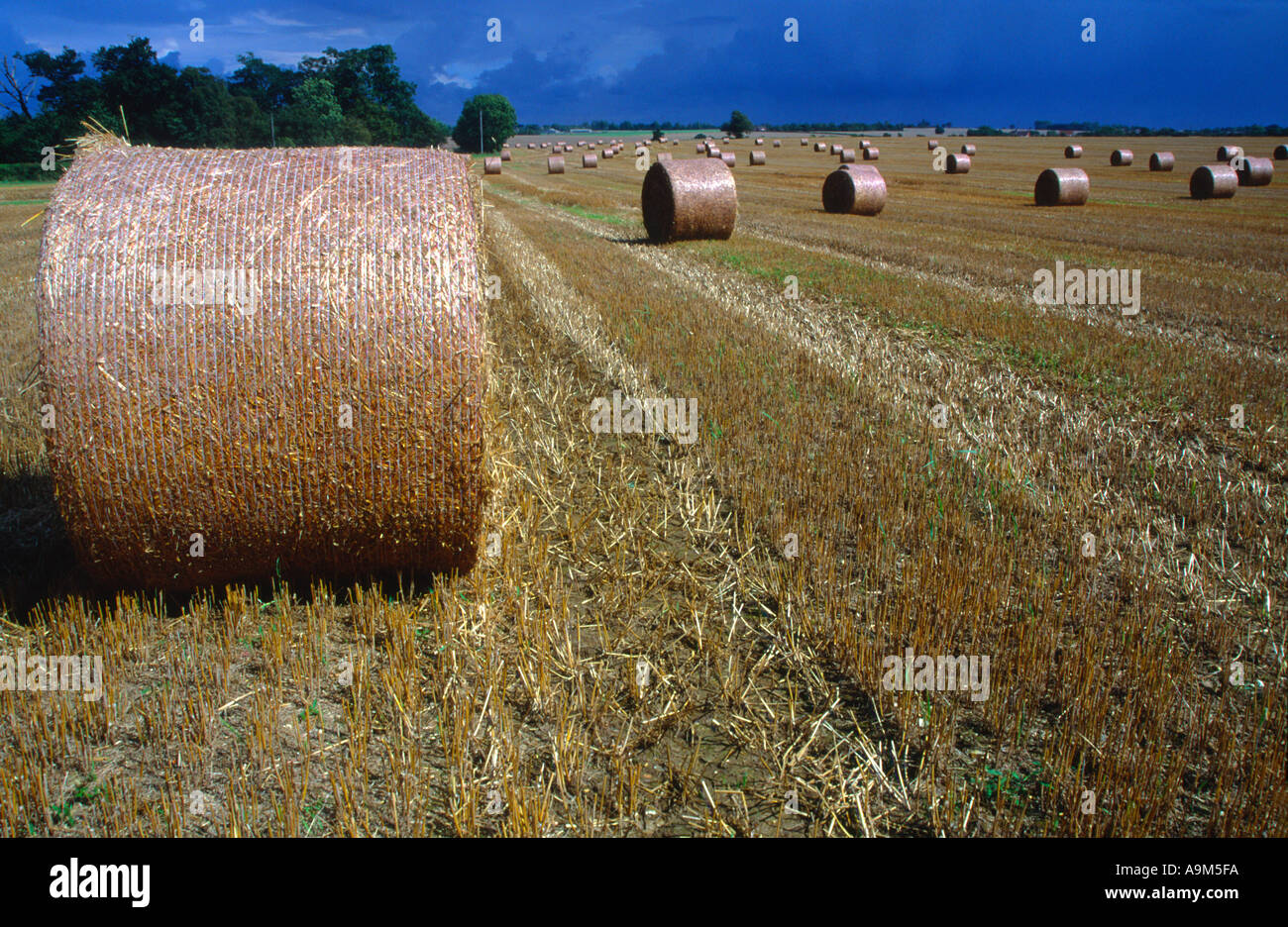 East anglian countryside hi-res stock photography and images - Alamy
