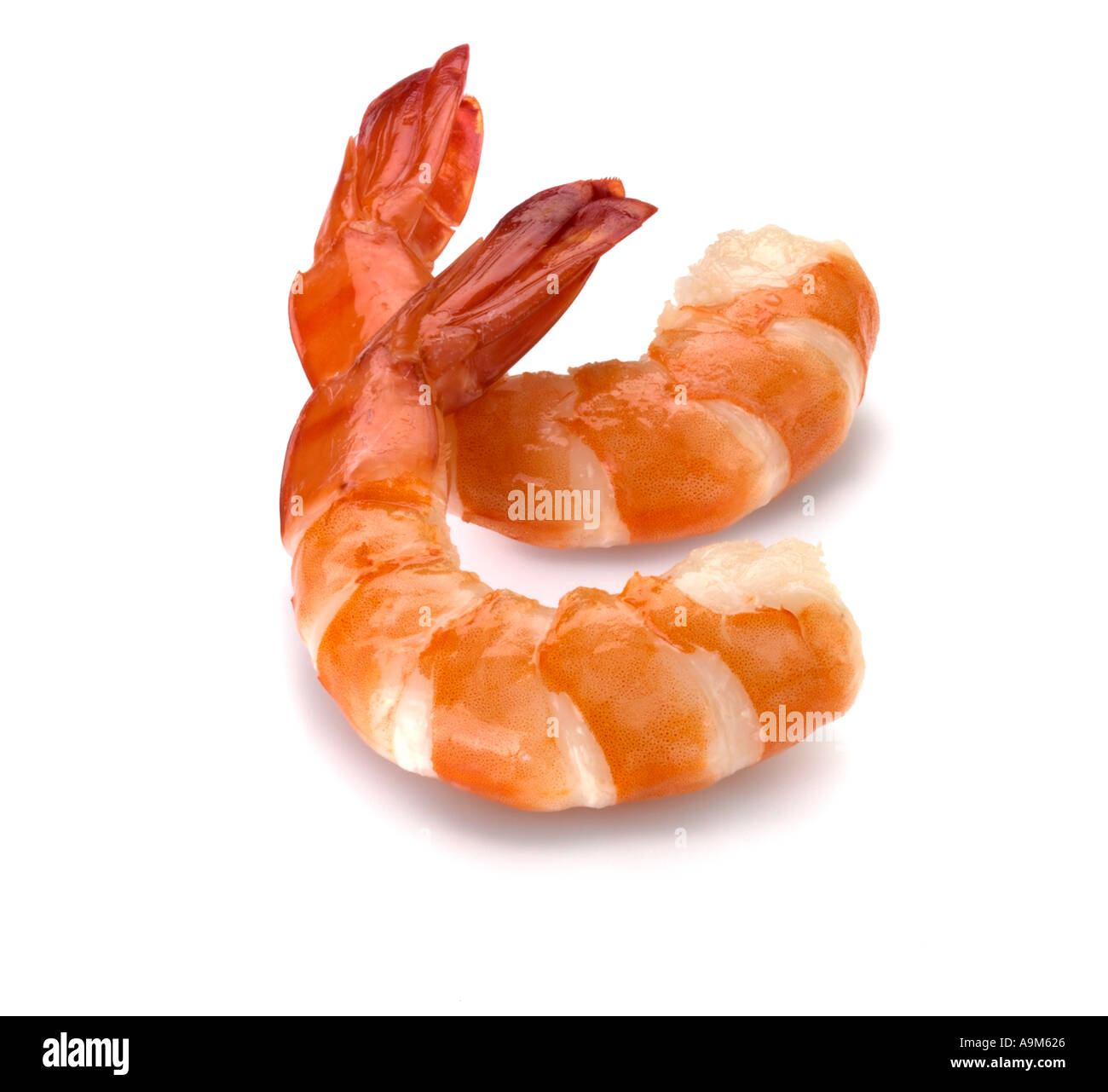 TWO KING PRAWNS Stock Photo - Alamy