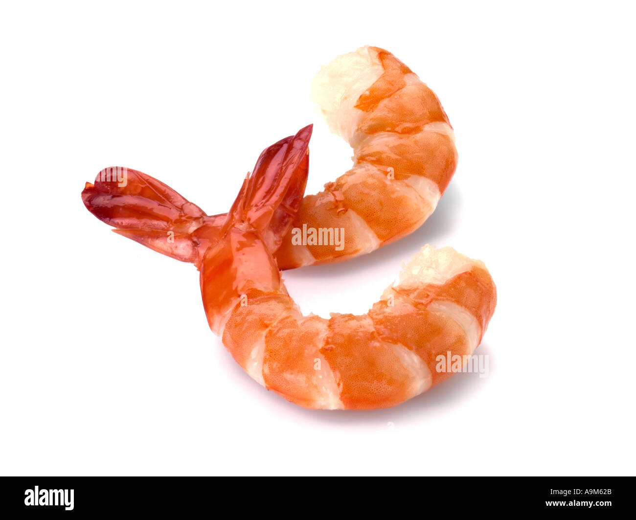 King prawn cut out hi-res stock photography and images - Alamy
