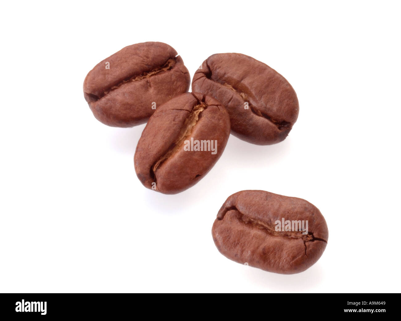 Four coffee beans hi-res stock photography and images - Alamy