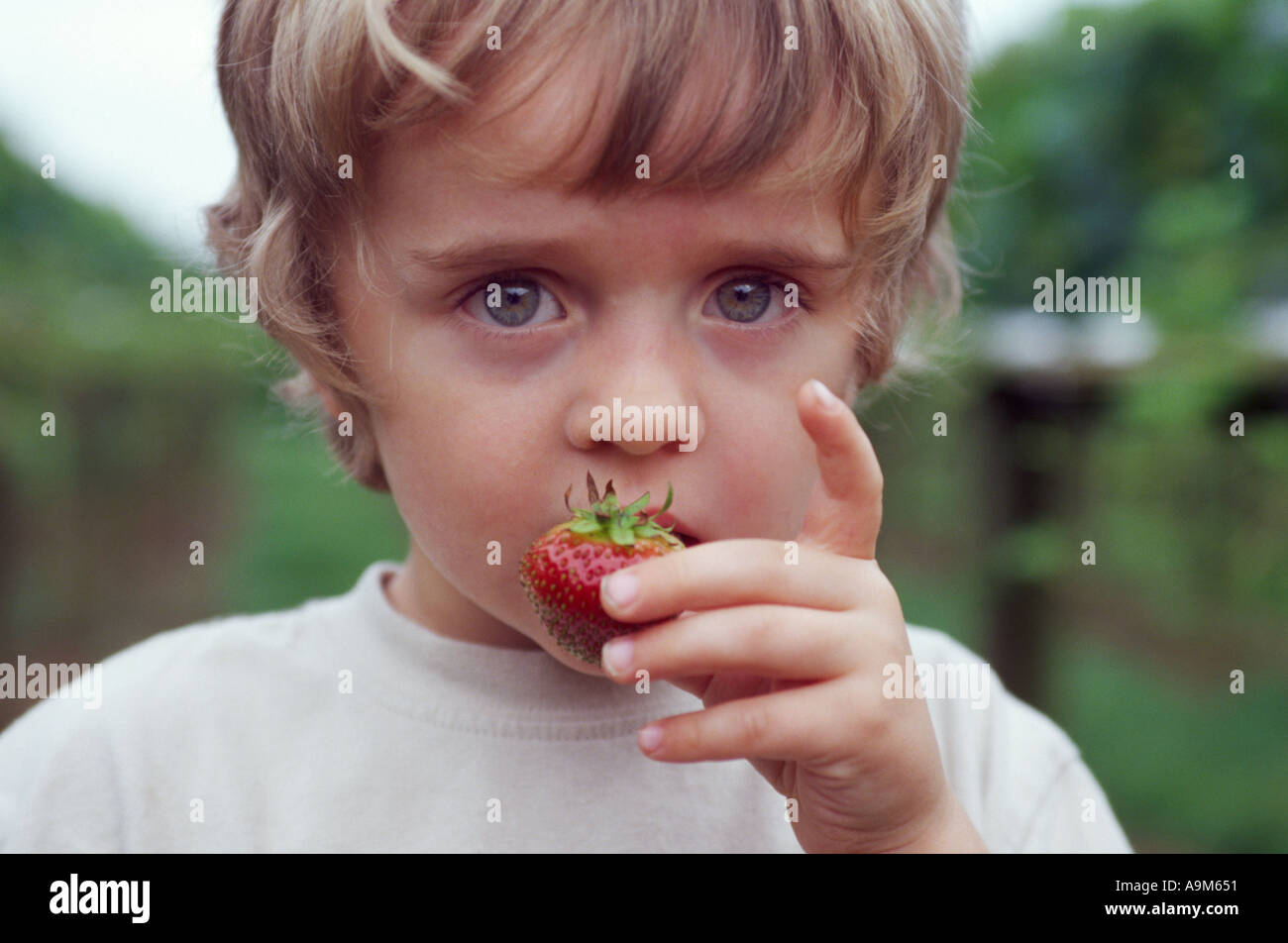Strawberry blond boy hi-res stock photography and images - Alamy