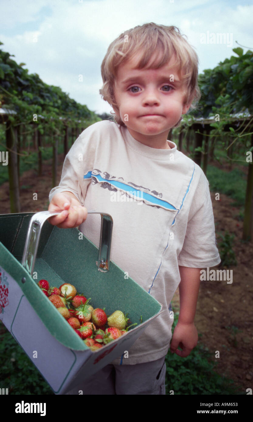 Child picking up box hi-res stock photography and images - Alamy