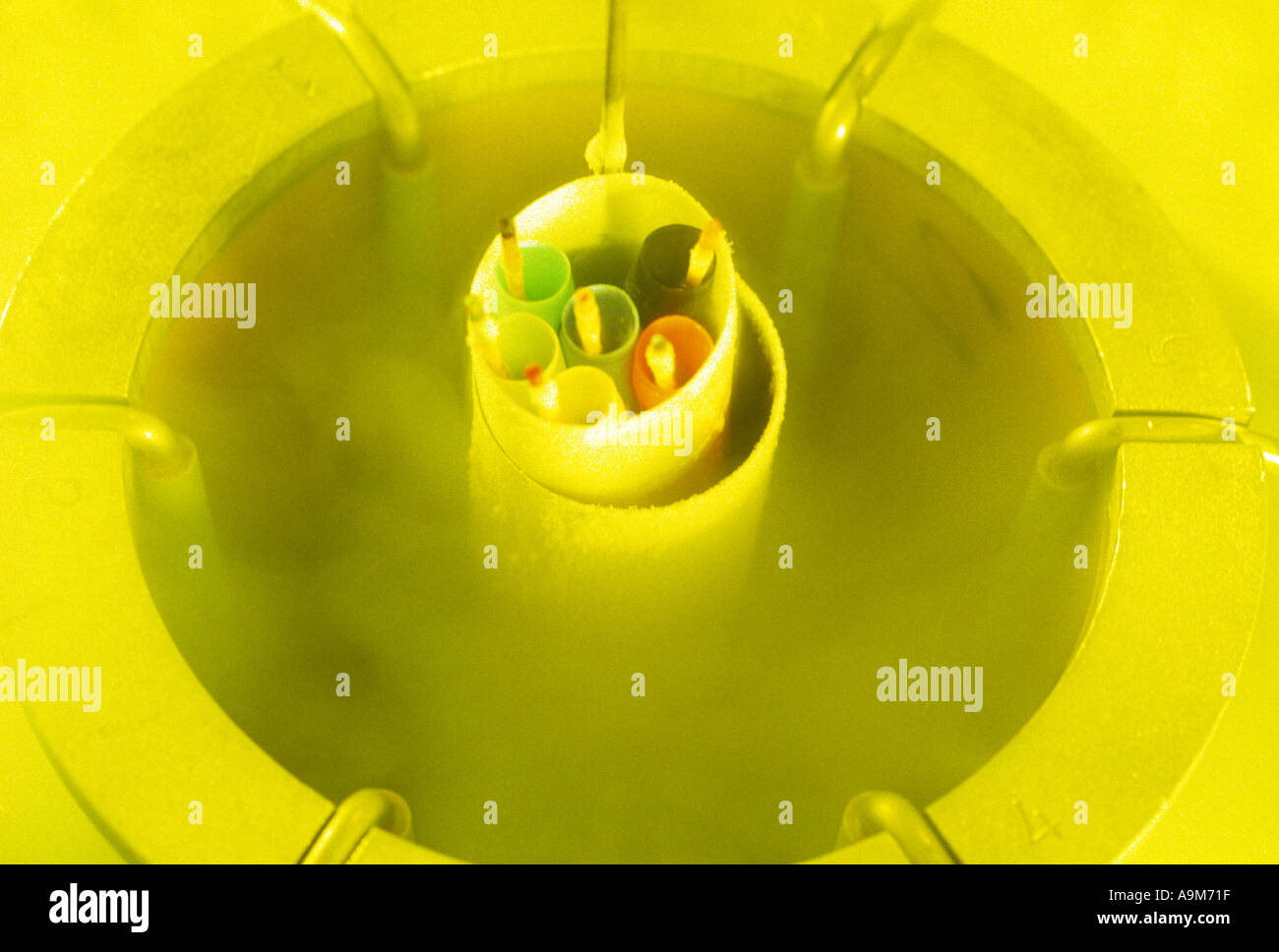 Straws containing frozen embryo s SB Stock Photo - Alamy
