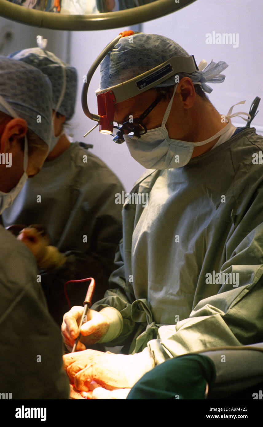 Doctor sb hi-res stock photography and images - Alamy