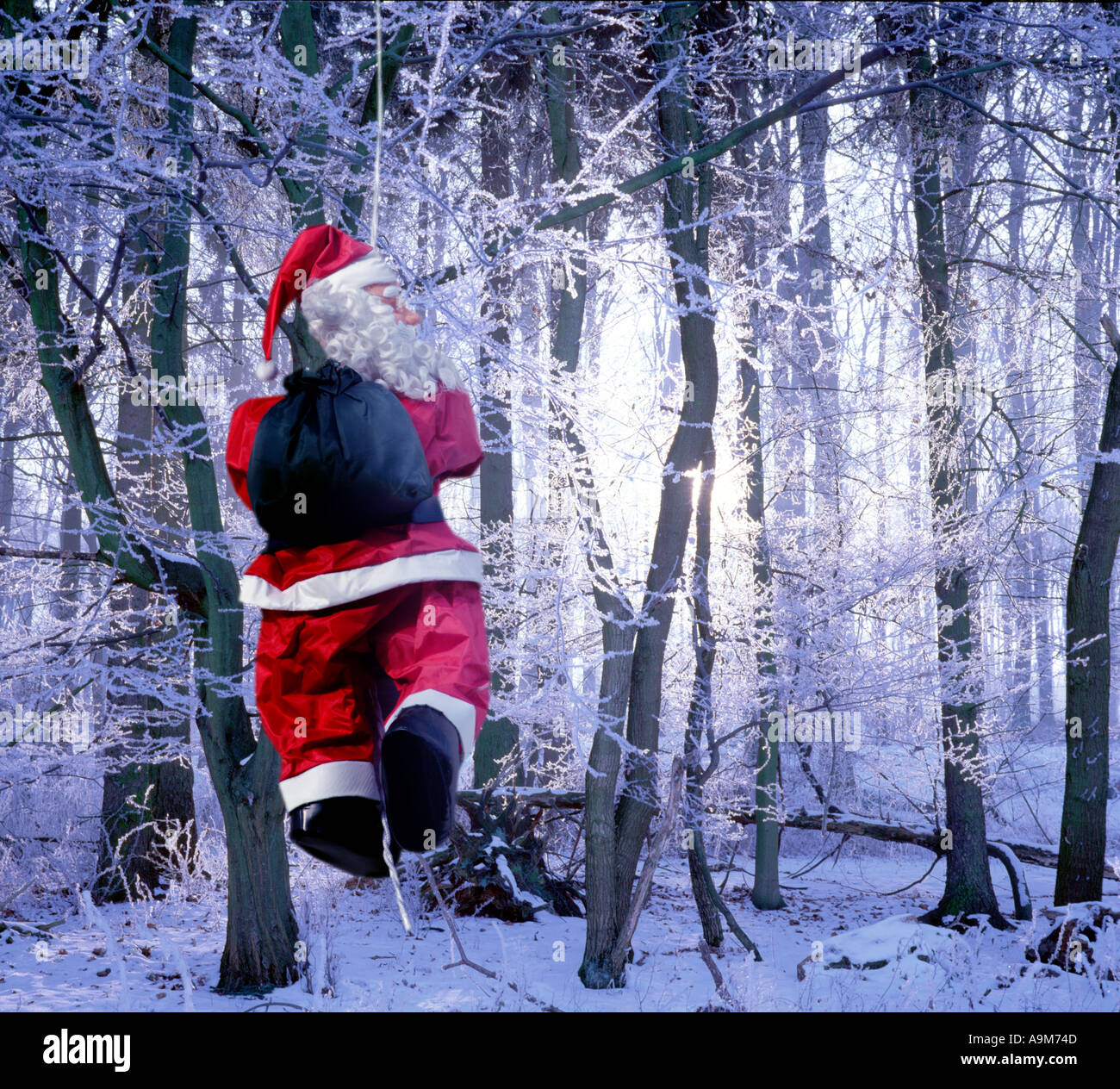 Santa Claus in winter forest Stock Photo - Alamy
