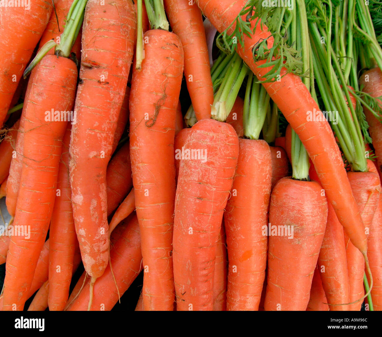 Carotts hi-res stock photography and images - Alamy