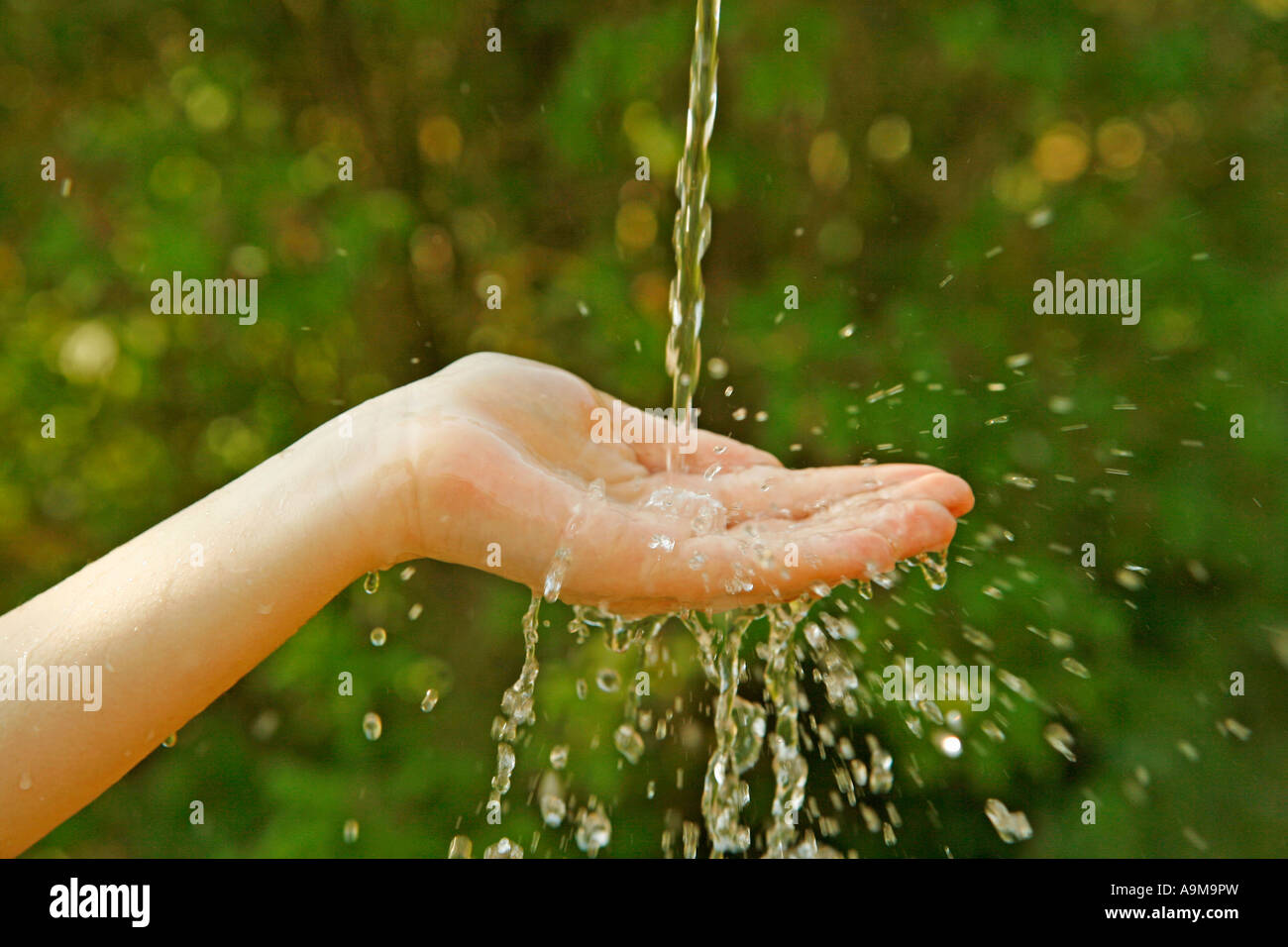 Water dropping into hand Stock Photo - Alamy