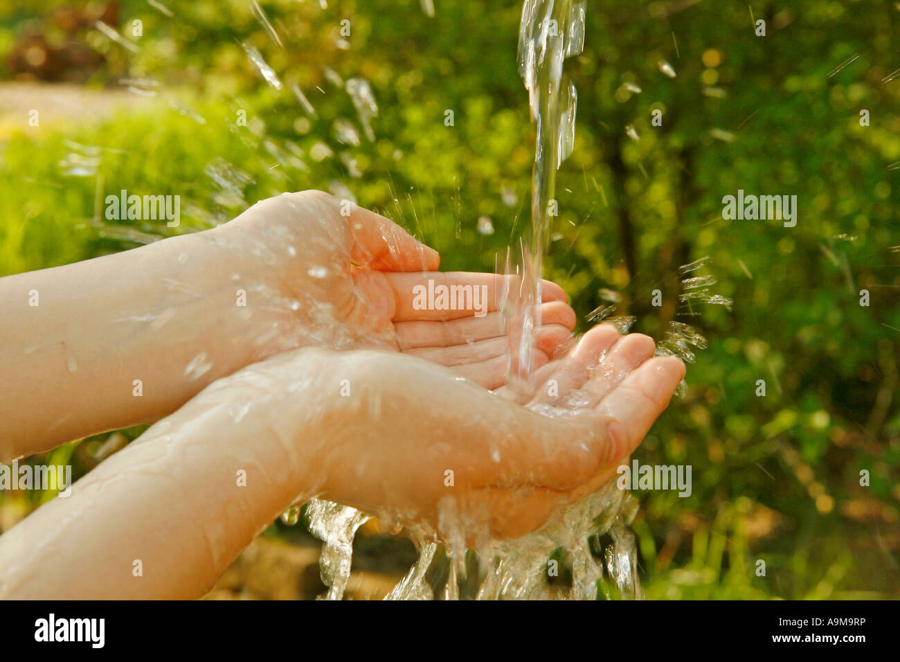 Water dropping into hands Stock Photo - Alamy