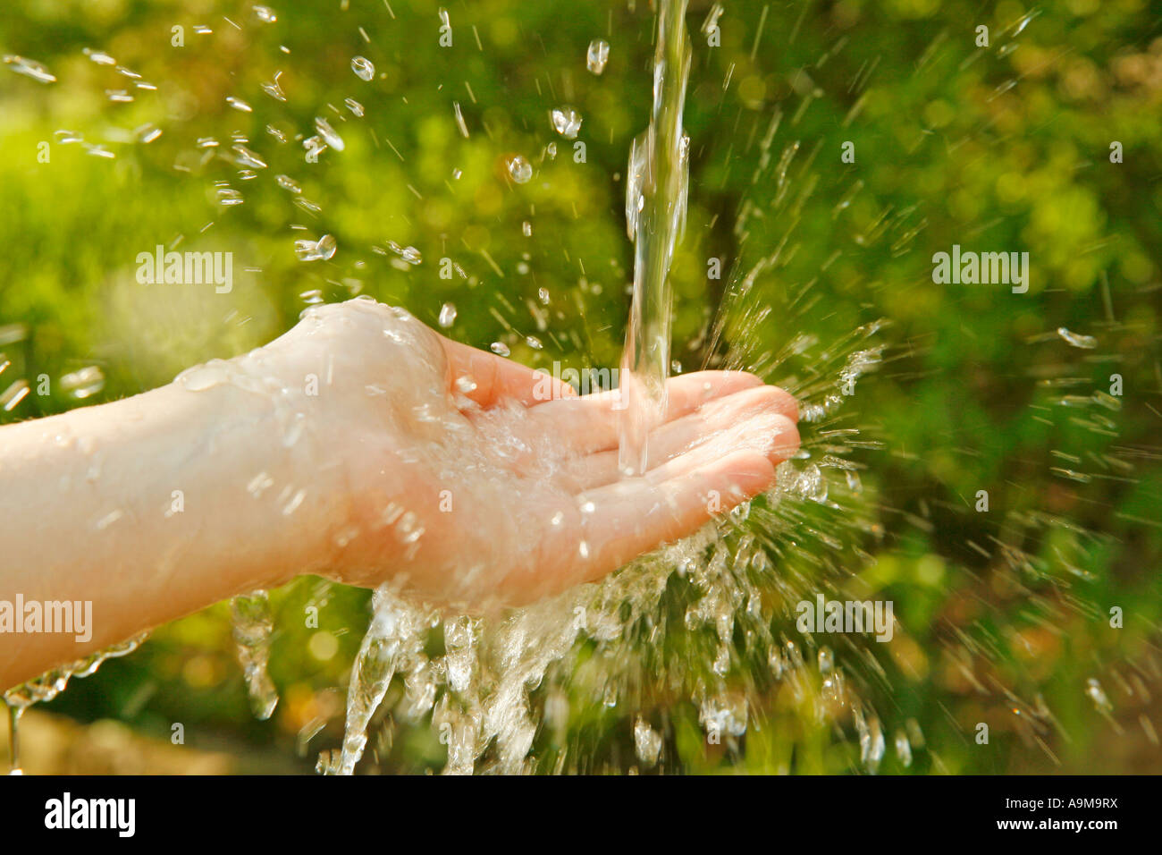 Water dropping into hand Stock Photo - Alamy