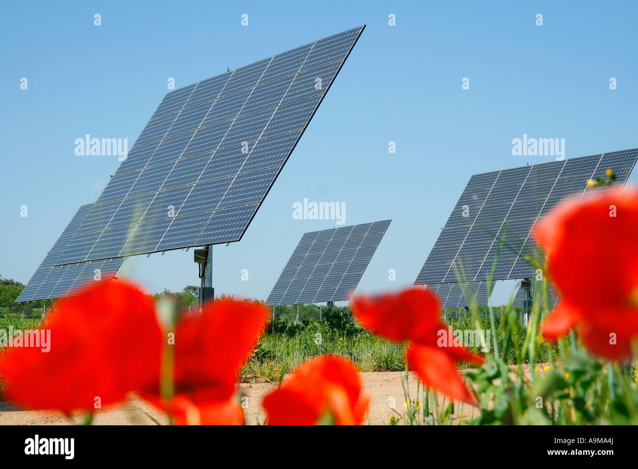 Solar panels field of flowers hi-res stock photography and images - Alamy