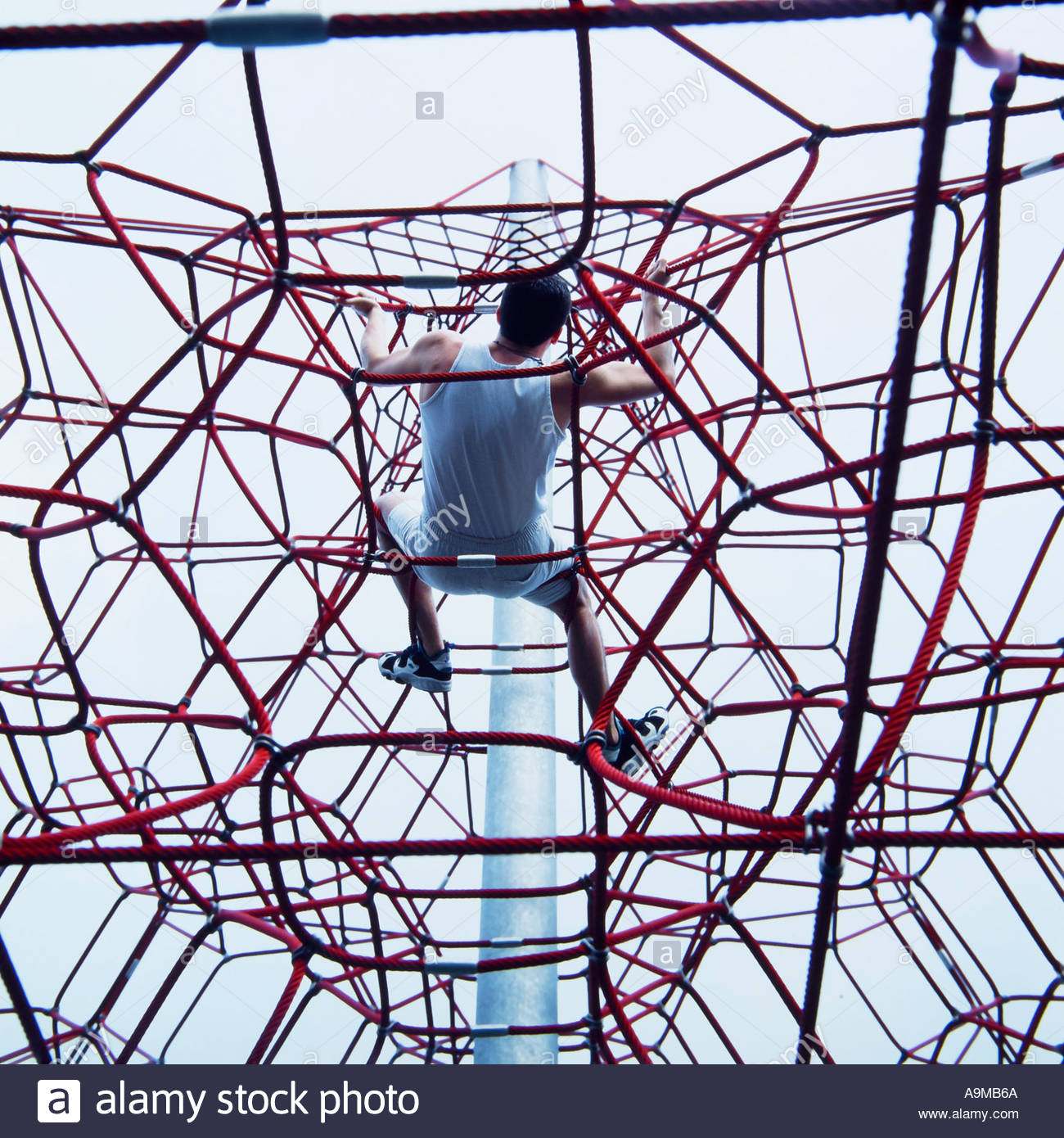 Spider web climber hi-res stock photography and images - Alamy