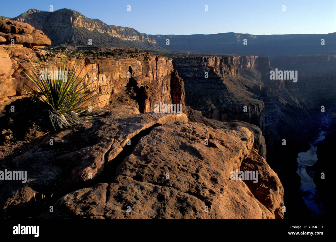 Toroweap viewpoint hi-res stock photography and images - Alamy
