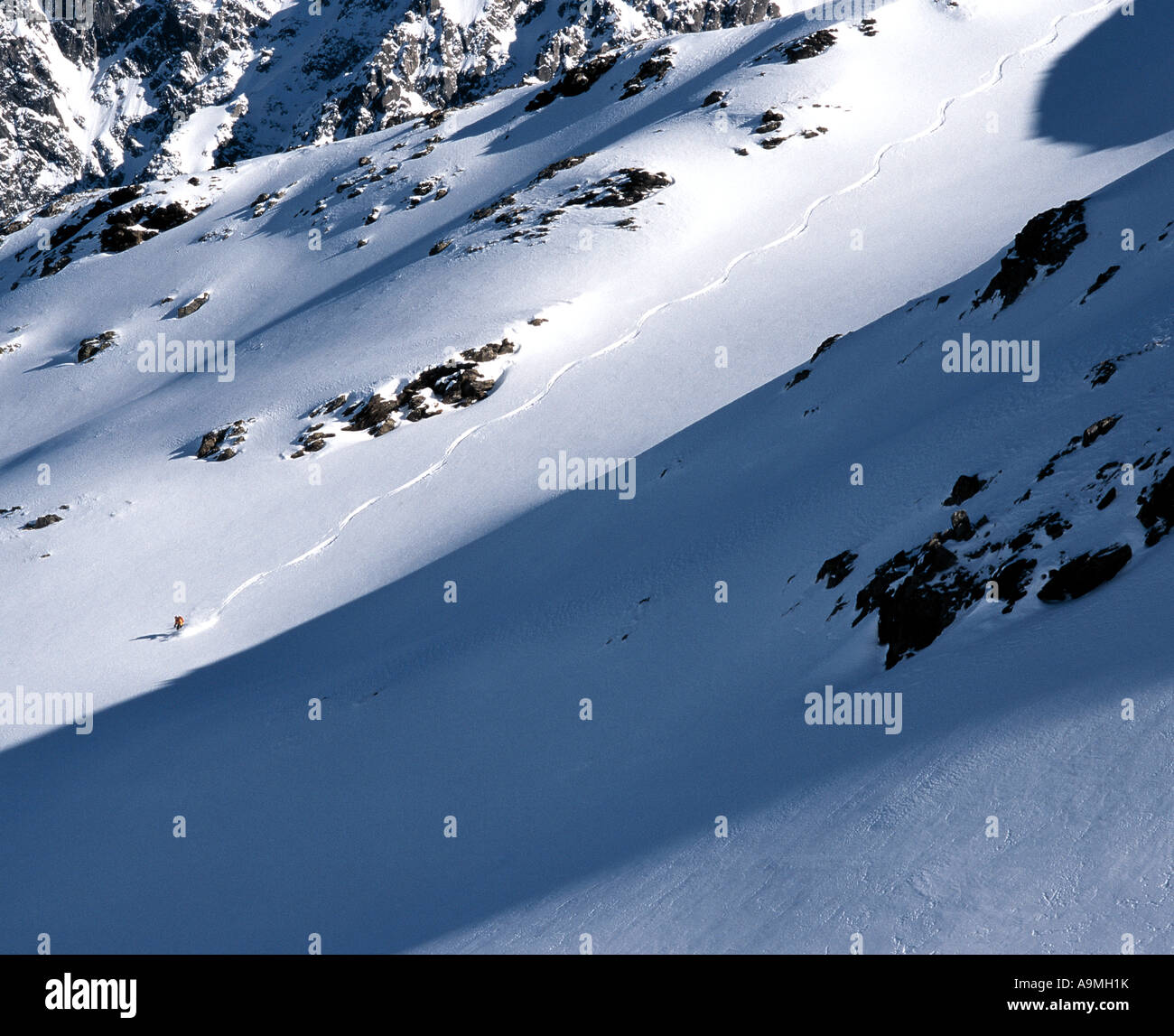 Lone skier carving a perfect track off piste in deep powder snow high ...