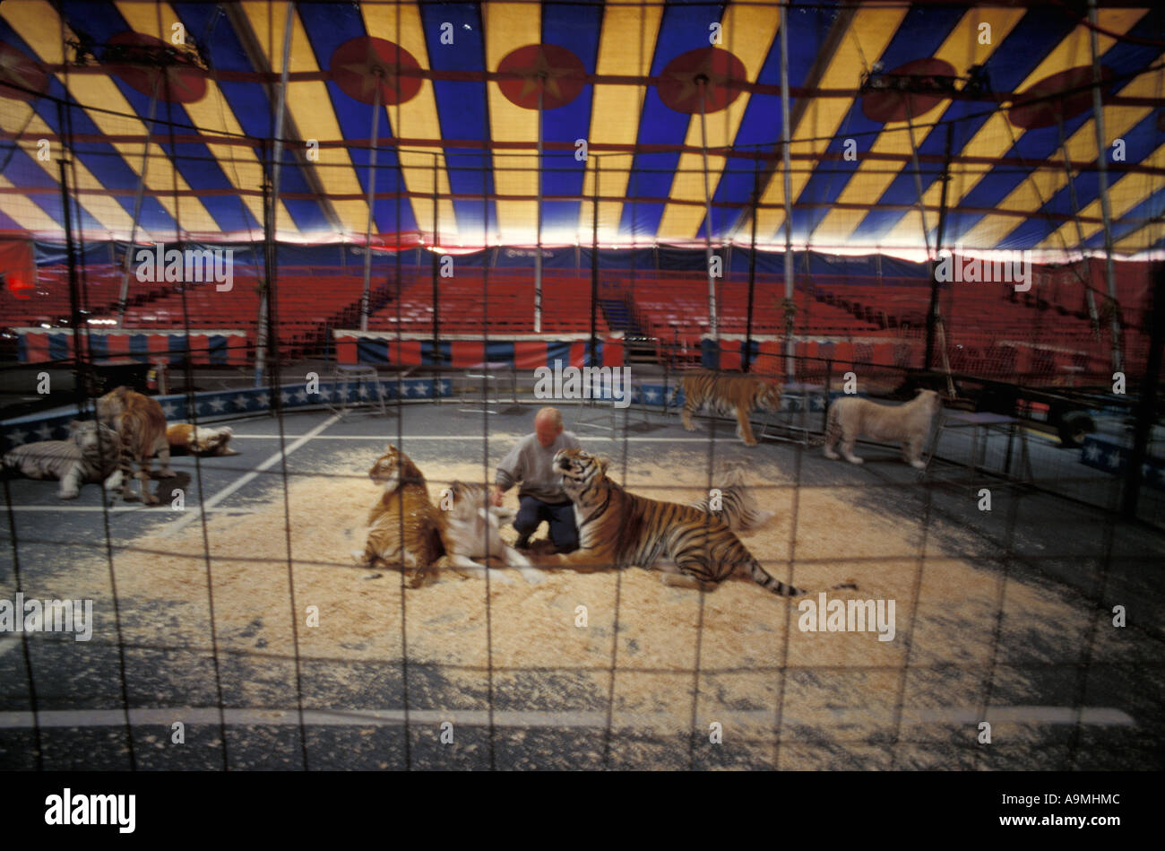 Clyde Beatty Cole Brothers Bros. Circus largest traveling show under ...