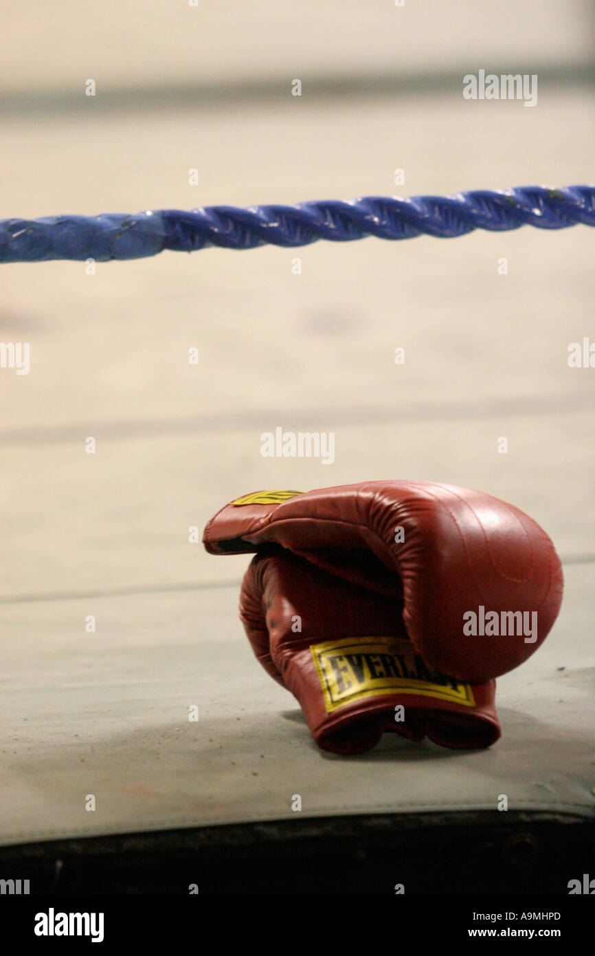 detail of boxing gloves in ring Stock Photo - Alamy