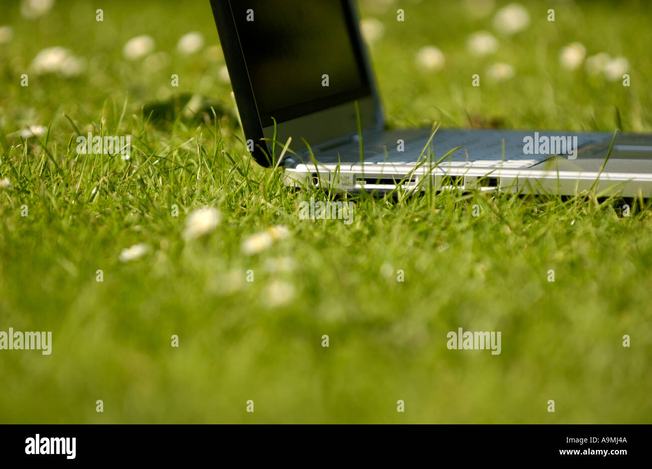 Laptop in grass Stock Photo - Alamy