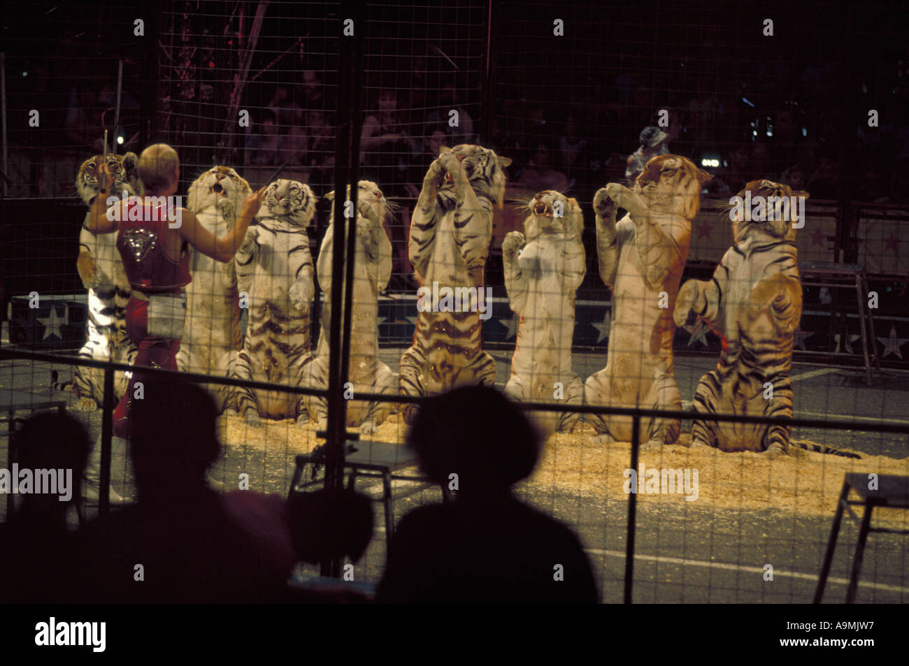 Clyde Beatty Cole Brothers Bros. Circus largest traveling show under ...