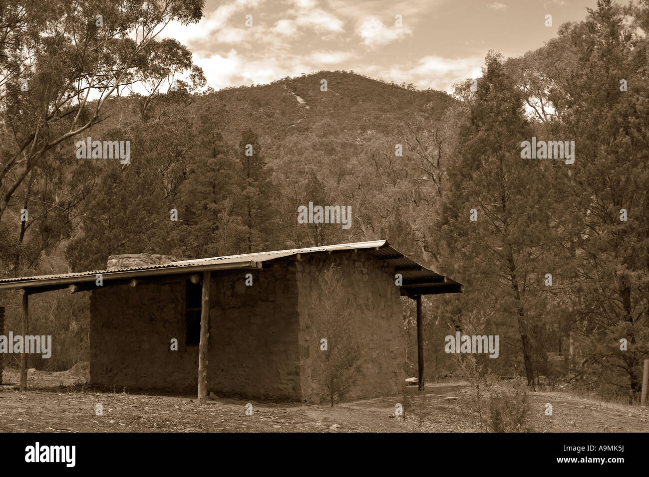 a sepia image of an old bush hut in a clearing the forest Stock Photo ...