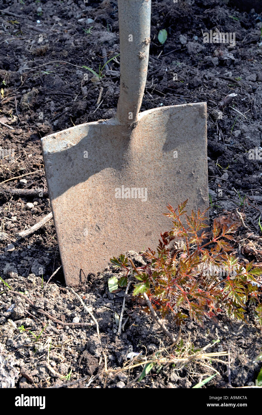 Digging implement hi-res stock photography and images - Alamy