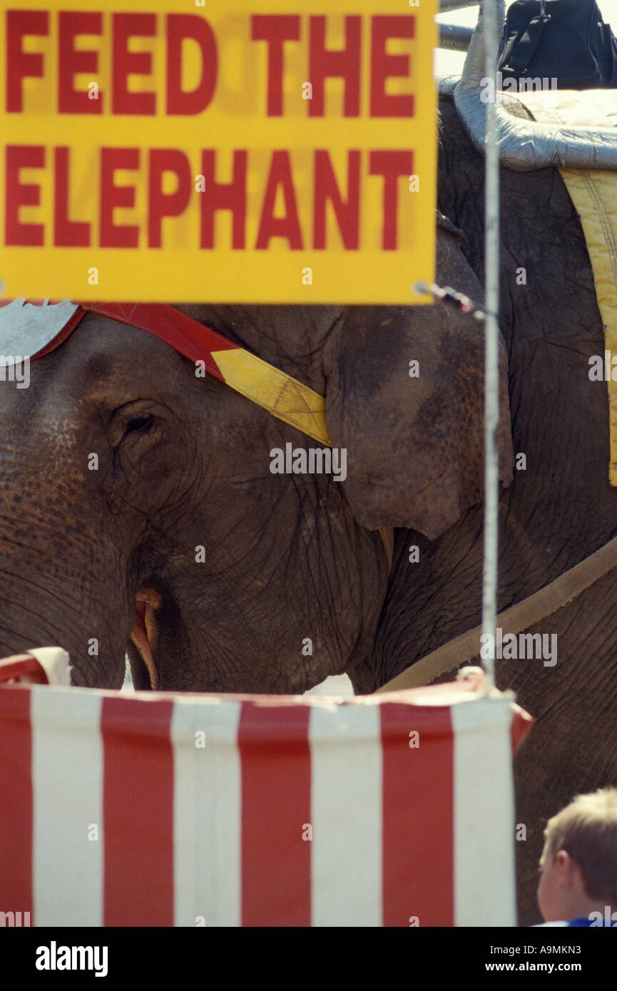 Clyde Beatty Cole Brothers Bros. Circus largest traveling show under ...