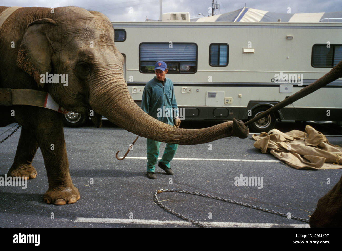 Clyde Beatty Cole Brothers Bros. Circus largest traveling show under ...