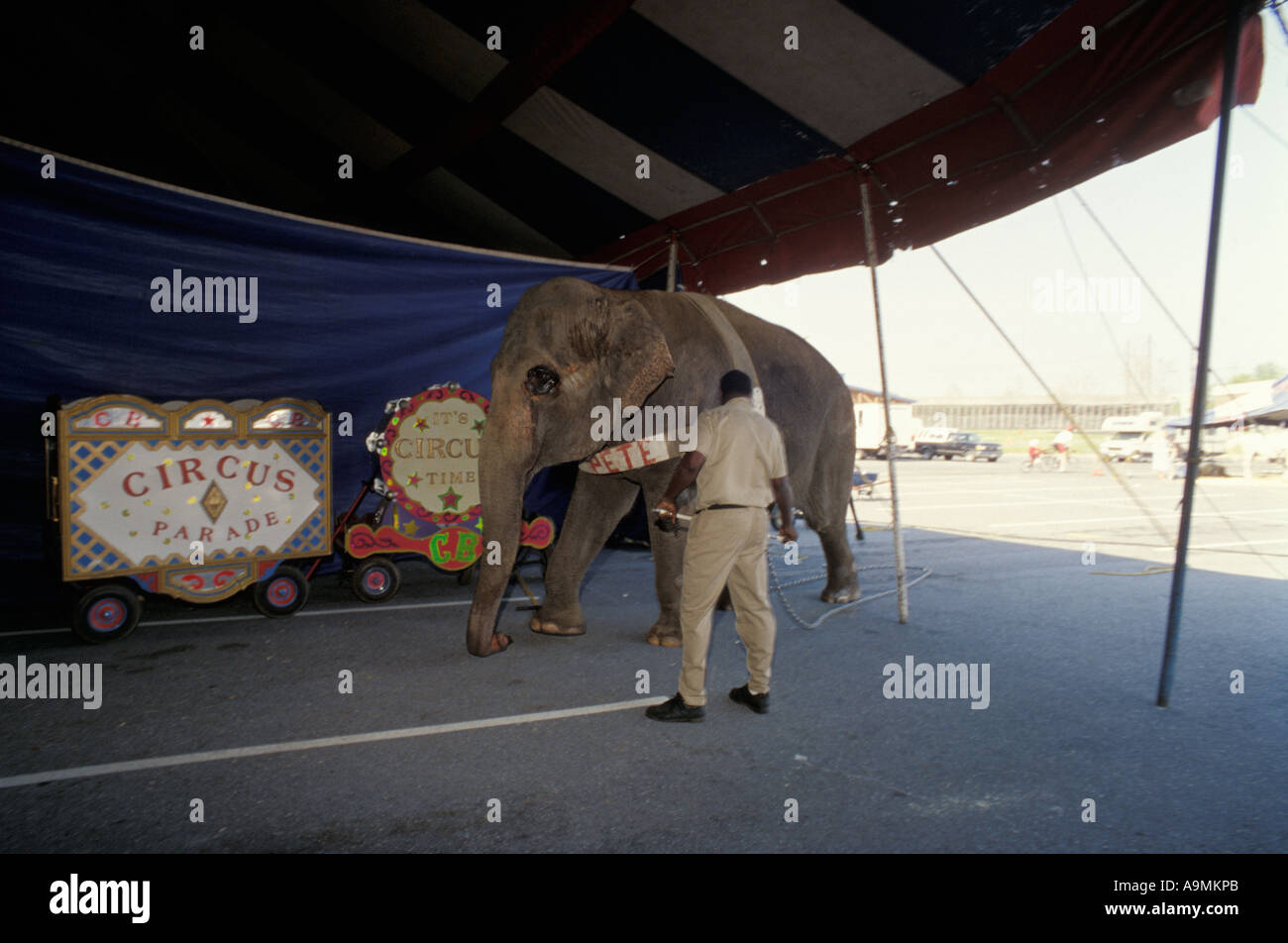 Clyde Beatty Cole Brothers Bros. Circus largest traveling show under ...