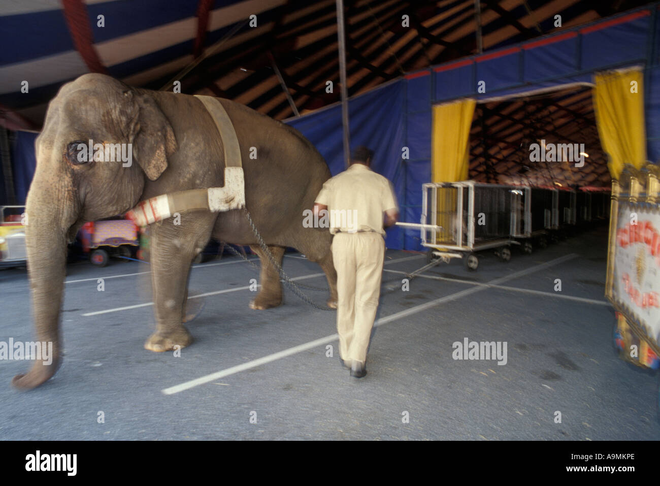 Clyde Beatty Cole Brothers Bros. Circus largest traveling show under ...