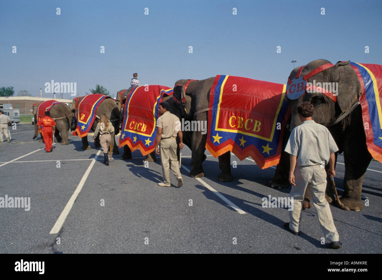 Clyde Beatty Cole Brothers Bros. Circus largest traveling show under ...