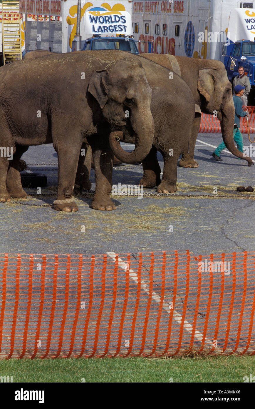 Clyde Beatty Cole Brothers Bros. Circus largest traveling show under ...