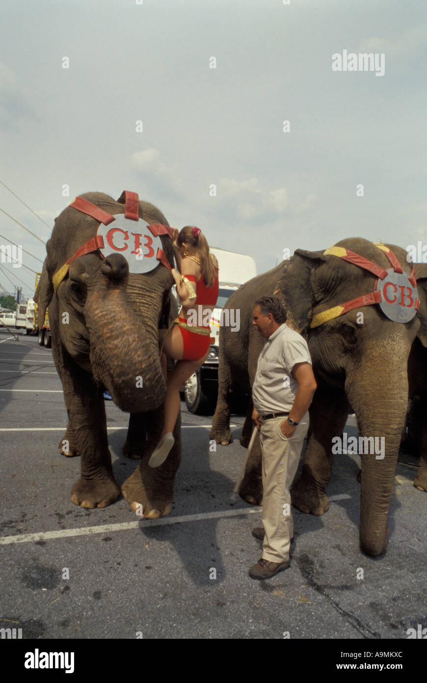 Clyde Beatty Cole Brothers Bros. Circus largest traveling show under ...