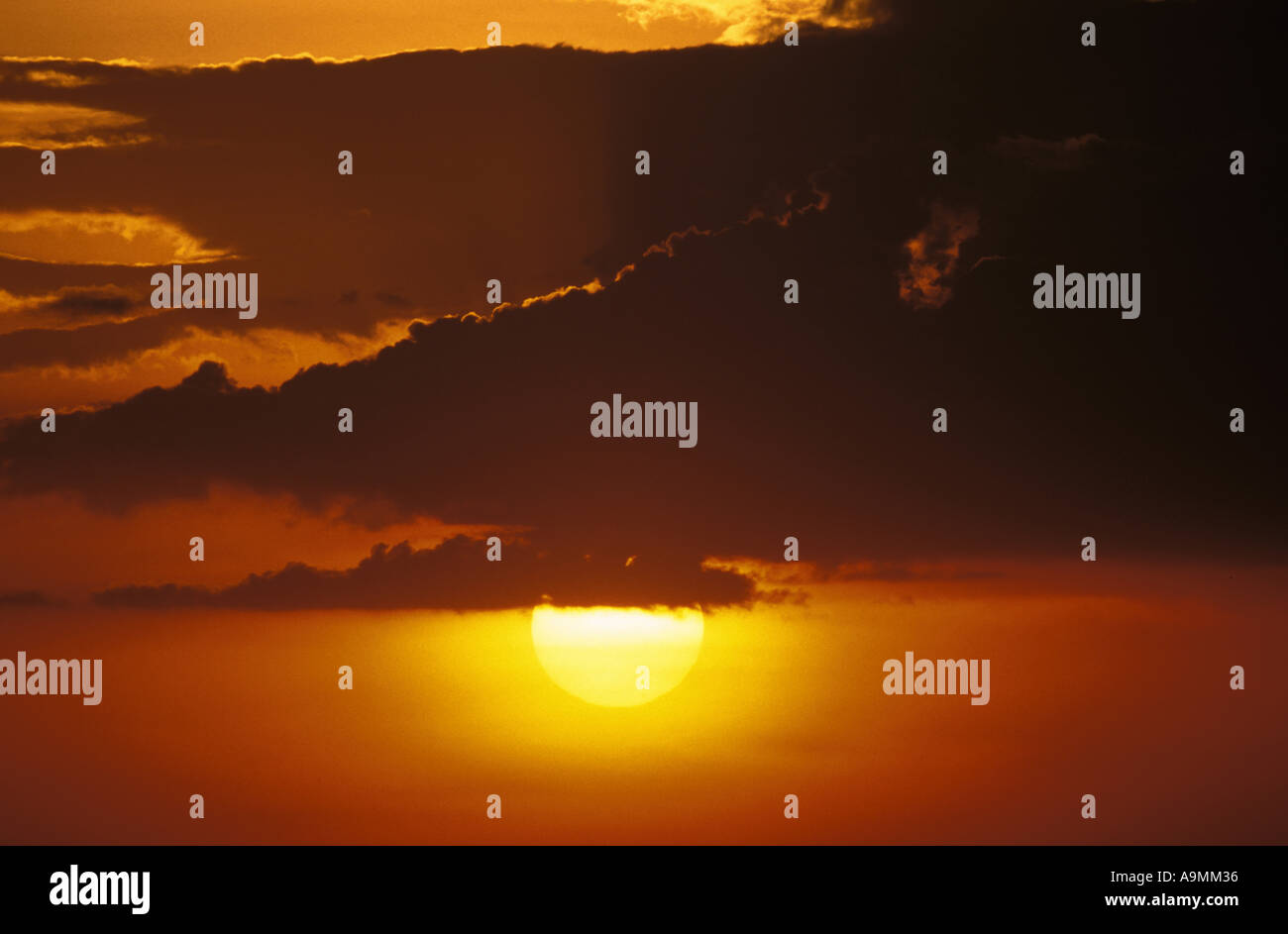 Undisturbed setting hi-res stock photography and images - Alamy