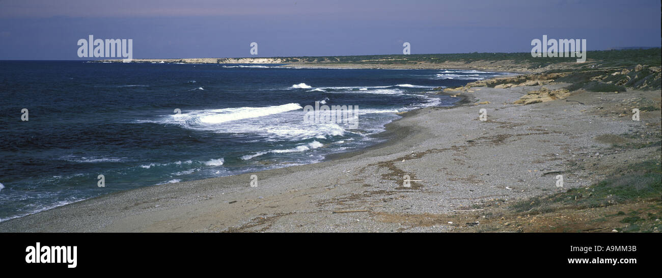 Lara beach turtle hi-res stock photography and images - Alamy