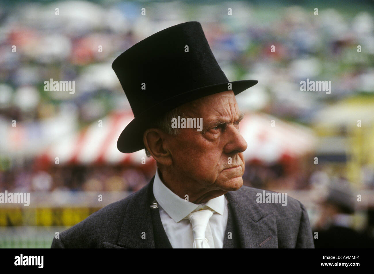 Cross face aristocratic looking pensioner, Man looking cross puzzled ...